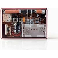 Amazon.com: TECSUN 2P3 AM Radio Receiver Kit - DIY for Enthusiasts, Built it into a Radio case ...