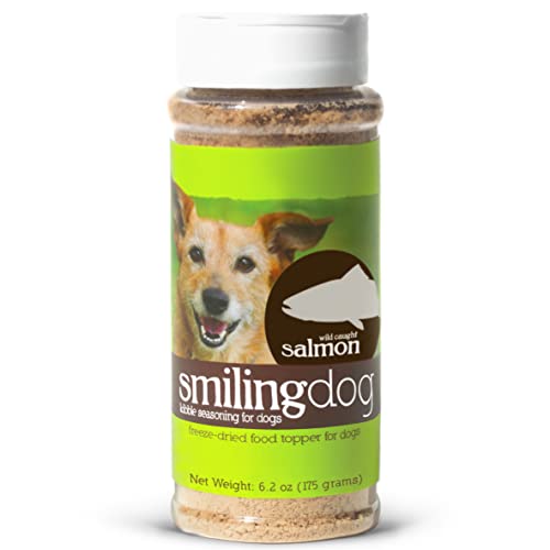 10 Must-Try DIY Dog Food Toppers for Healthy, Happy Pups! - Furry Folly