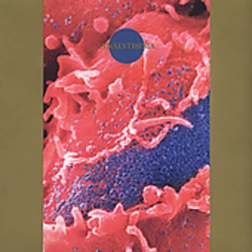 DEATH AMBIENT - Synaesthesia - Amazon.com Music