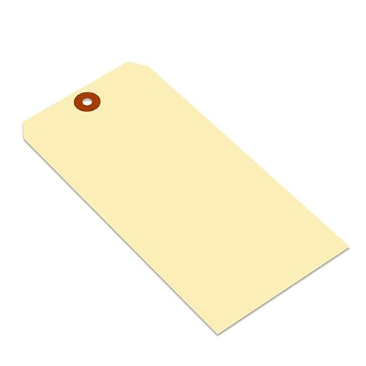 Amazon.com: SmartSign Blank Manila Shipping Tags - Pack of 100, Size-12 ...