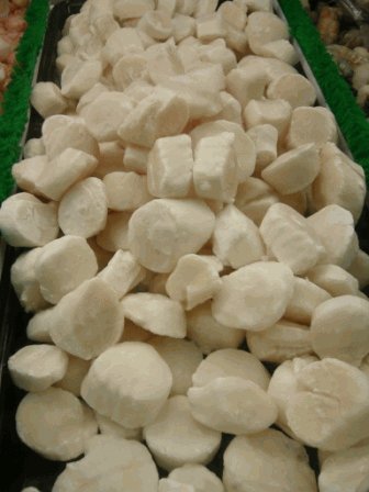Amazon.com : Frozen and Dry Scallops (5 LB.) : Packaged Scalloped ...