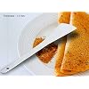 Buy Signoraware Stainless Steel Heavy Gauge Plus Dosa Turner/Andhra ...