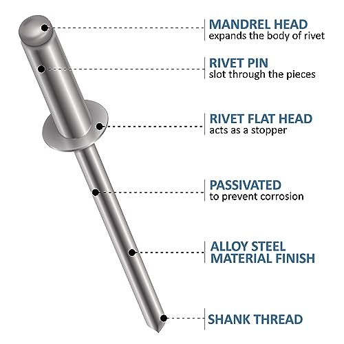 5mm x 19mm Pop Rivets Rivet with Flange Rivets (10 Pack) – Blind Rivet ...