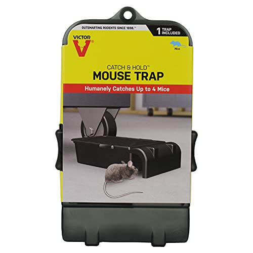 Top 10 Mice Cube Mouse Trap of 2022 - Katynel