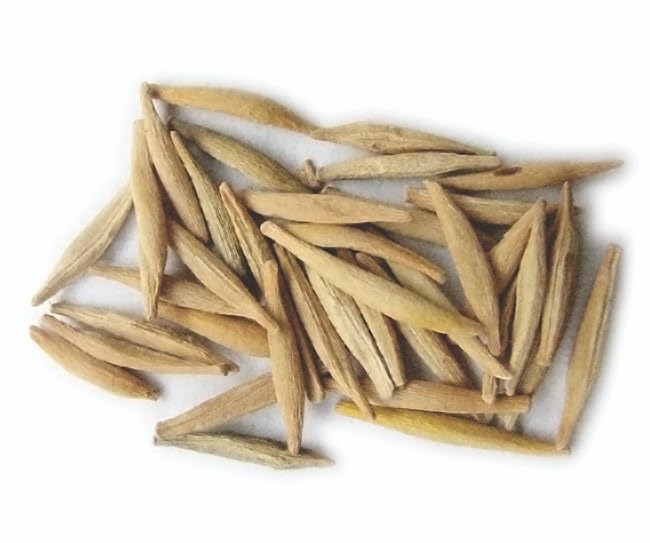 Buy Indrajav Seeds -Indrajau Kadwa- Inderjau Karva- Inderjoo ...