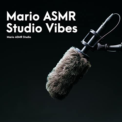 Amazon MusicでMario ASMR StudioのMario ASMR Studio Vibesを再生する