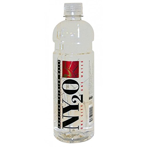 Amazon.com : Ny2O Premium Water (24x16.9 OZ) : Grocery & Gourmet Food