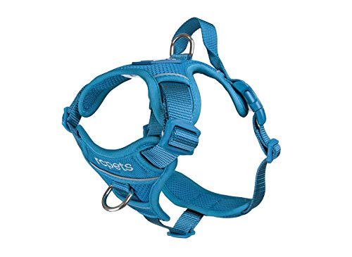 Rc Pets Harness – The 15 best products compared - Wild Explained