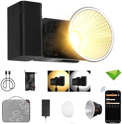 Amazon.com : LED Video Lighting Kit with Barn Door, Icceue Bi-Color ...