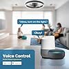 CHANFOK Smart Ceiling Fans with Lights Compatible with Alexa and Google ...