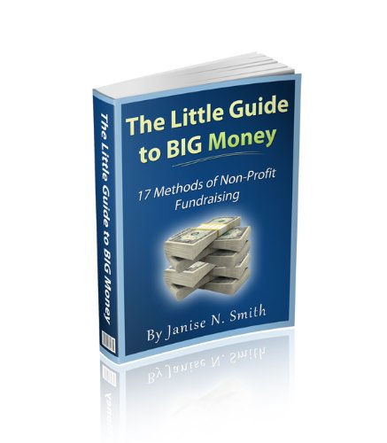 Amazon.com: The Little Guide to BIG Money: 17 Methods of Non-Profit ...