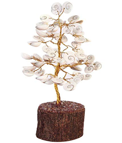 Buy Radha Rani Ganesh (Gomati Chakar) Tree Online at Low Prices in ...