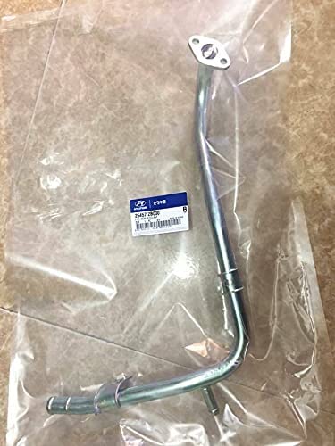 Amazon.com: Genuine OEM 25457-2B000 Heater Pipe / 254572B000 for ...