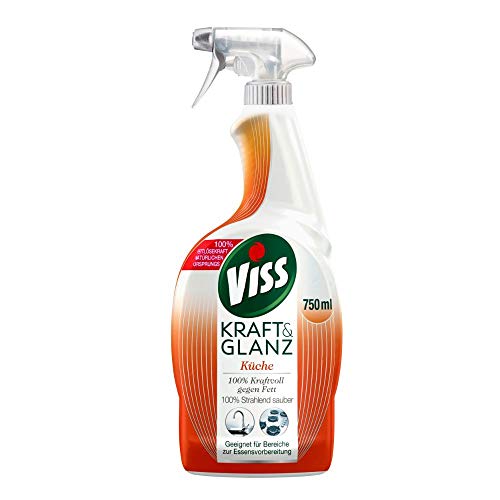 Viss Grillreiniger – Die 15 besten Produkte im Vergleich - kita.de Ratgeber