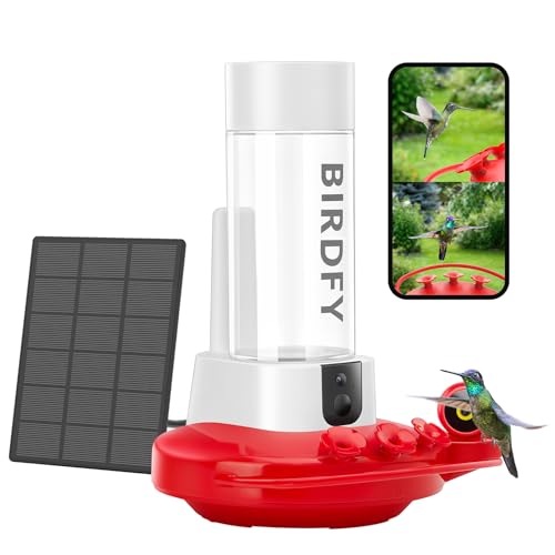 Snapklik.com : NETVUE Birdfy Cameras For Hummingbird Feeder
