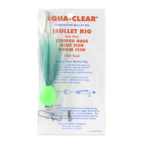 How Bluefish Attack Bait: The Complete Guide for Anglers