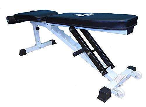 TDS Weight Bench Review: Expert Analysis On Features, Performance, And ...