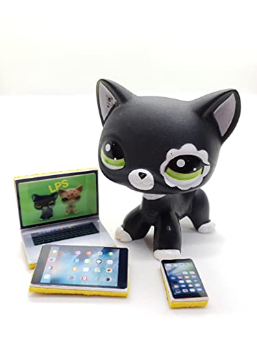 Top 10 Best Lps Cocker Spaniel Sets : Reviews & Buying Guide - Katynel