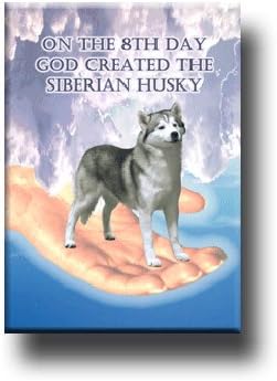 Amazon.com: Siberian Husky God Created Fridge Magnet : Home & Kitchen