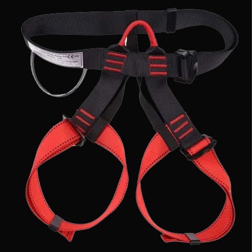 Safety Belt Half Body Harness : Amazon.in: Baby Products