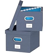 Amazon.com: DYWMM Hanging File Box with Lid, Set of 2 Filing Organizer ...