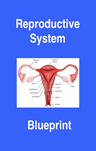 Amazon.com: Reproductive Blueprint PANCE/PANRE Review (OB-GYN) eBook ...