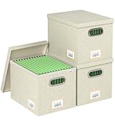 Amazon.com: GRSQYS File Organizer Box File Boxes for Hanging Files with ...