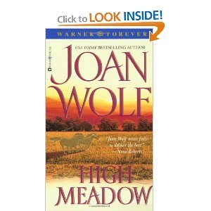 High Meadow * The Pretenders * Golden Girl * Silverbridge: Joan Wolf: Amazon.com: Books