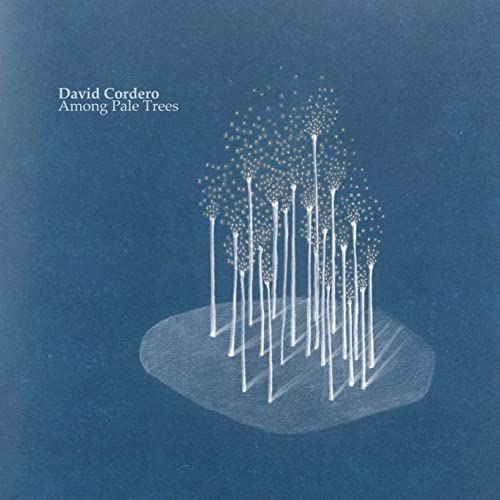 Play Among Pale Trees by David Cordero on Amazon Music