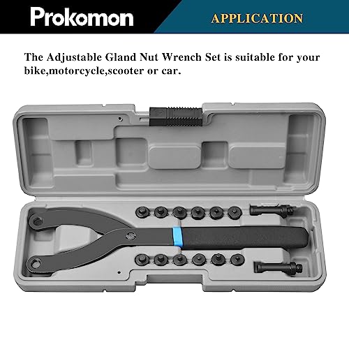 Snapklik.com : Prokomon 15Pc Adjustable Pin Spanner Wrench Set/Variable ...