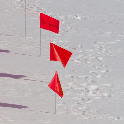 Snapklik.com : Zozen Marking Flags, Red Lawn Flags Markers - 50Pack ...