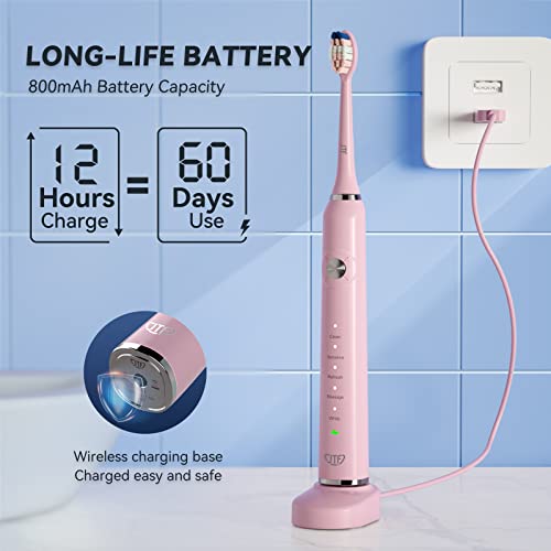 Snapklik.com : JTF Sonic Electric Toothbrush For Adults, Pink ...