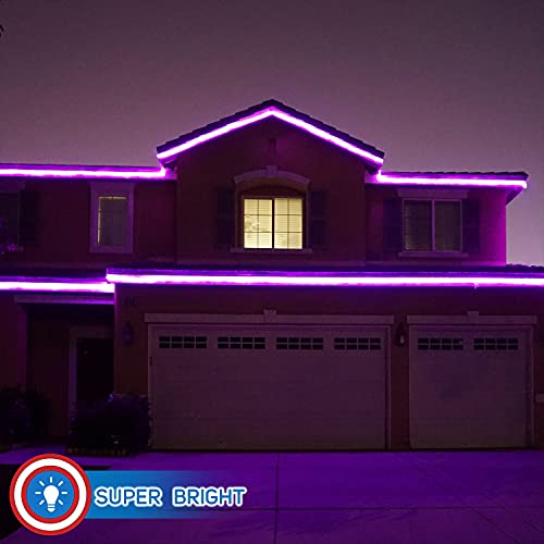 Pink Rope Lights - 30 feet - Festival Of Lights