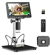 Amazon.com : Hayve DM12 10.1'' HDMI Digital Microscope, 2000X Coin ...