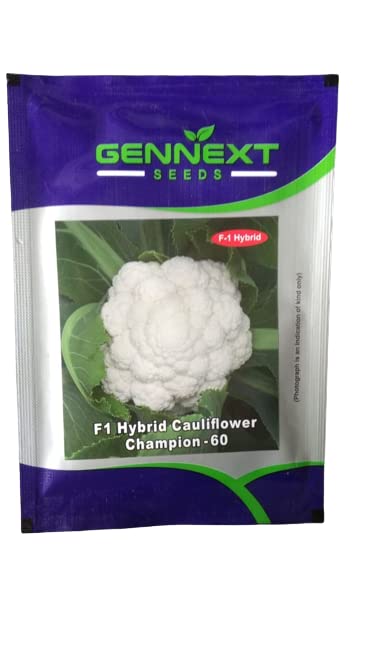 Gennext Seed Hybrid Cauliflower 10g : Amazon.in: Garden & Outdoors