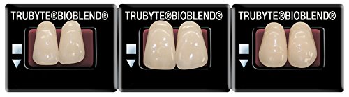 Amazon.com: Dentsply 16626U10444E Trubyte Bioblend IPN Denture Teeth ...