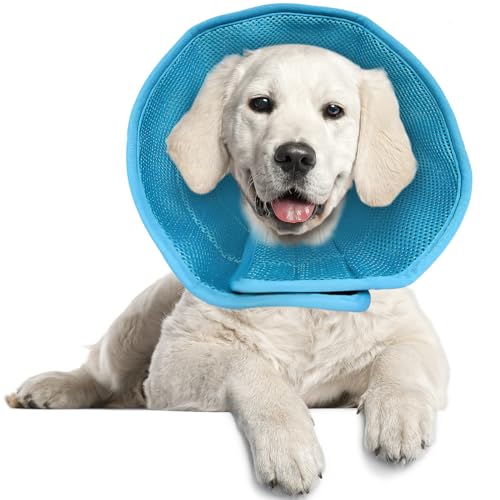 Cono Suave para Perros – Los 15 mejores productos comparados - Wild ...