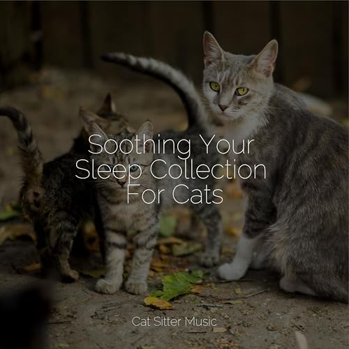 Amazon MusicでMusic for Relaxing Cats, Calm Music for Cats & Cat Music ...