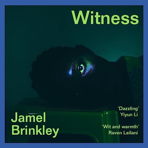 Witness (Audio Download): Jamel Brinkley, Greg Lockett, Fourth Estate ...