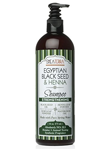 Amazon.com : Shea Terra Shampoo Egyptian Black Seed Henna - 16 Ounce ...