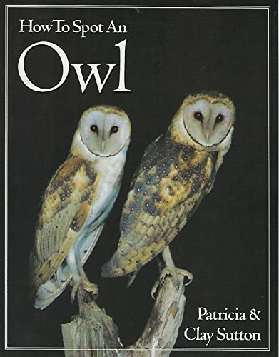 How to Find an Owl: A Comprehensive Guide to Owl Spotting | All Things ...