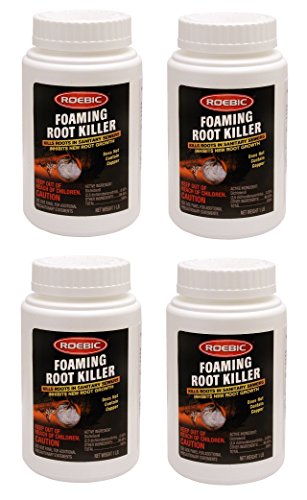 Amazon.com: Roebic FRK Foaming Root Killer, 1-Pound (4, 1 lb) : Health ...