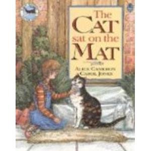 The Cat Sat on the Mat (A peep-through picture book): Amazon.co.uk ...