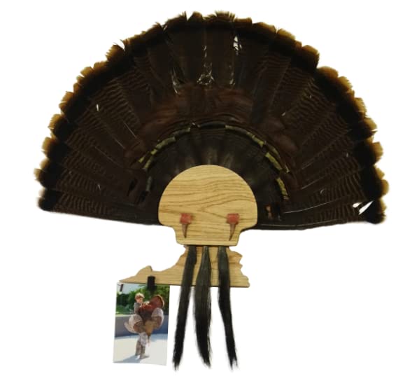 Amazon.com: Esh Custom Calls Turkey Fan Mount Kit - Customized State Turkey Tail Mounting Plaque ...