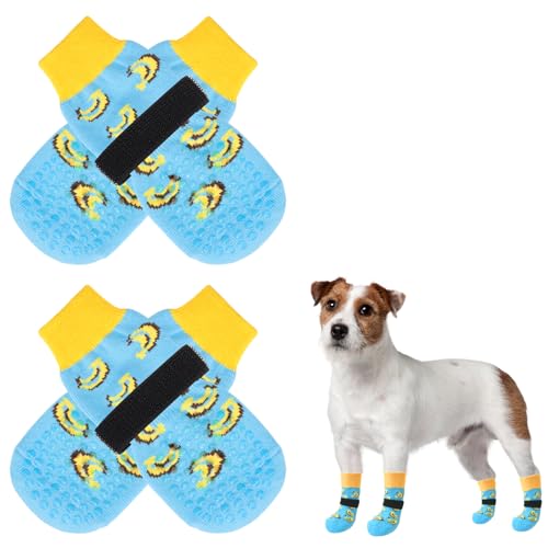 Socks for Dogs – The 15 best products compared - Wild Explained