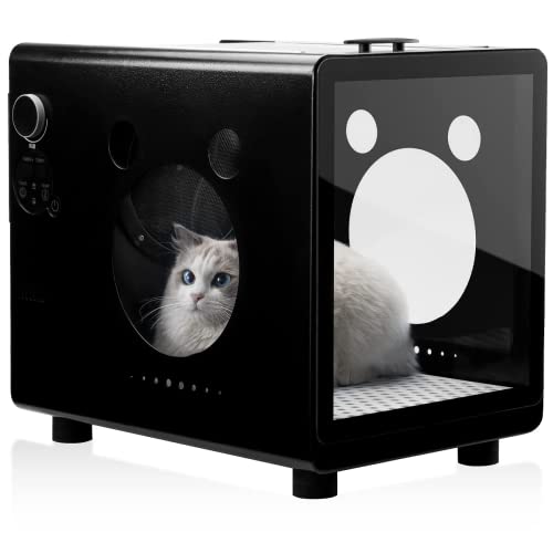 14 Best Cat Dryers to Make your Cat Shine Like New! - CatLicking