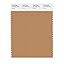 Amazon.com: PANTONE Smart 16-1360X Color Swatch Card, Nectarine ...