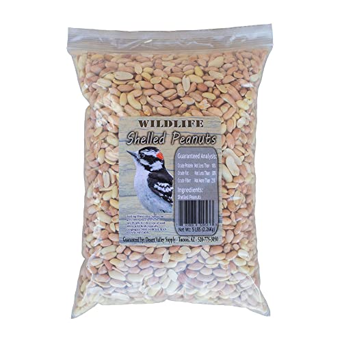 Get Nutty with the Top 10 Wild Peanut Products - Your Ultimate Buying ...