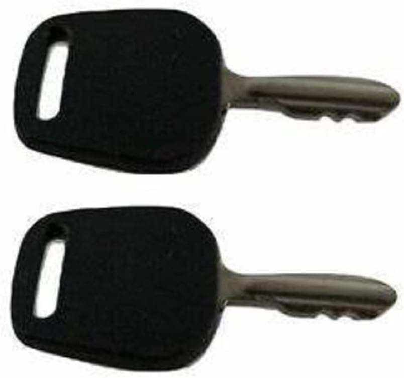 Amazon.com: HASME 2-Pack Replacement Ignition Switch Keys for AYP ...