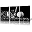 Amazon.com: BWSPACE Black and White Football Wall Art Modern Sports ...